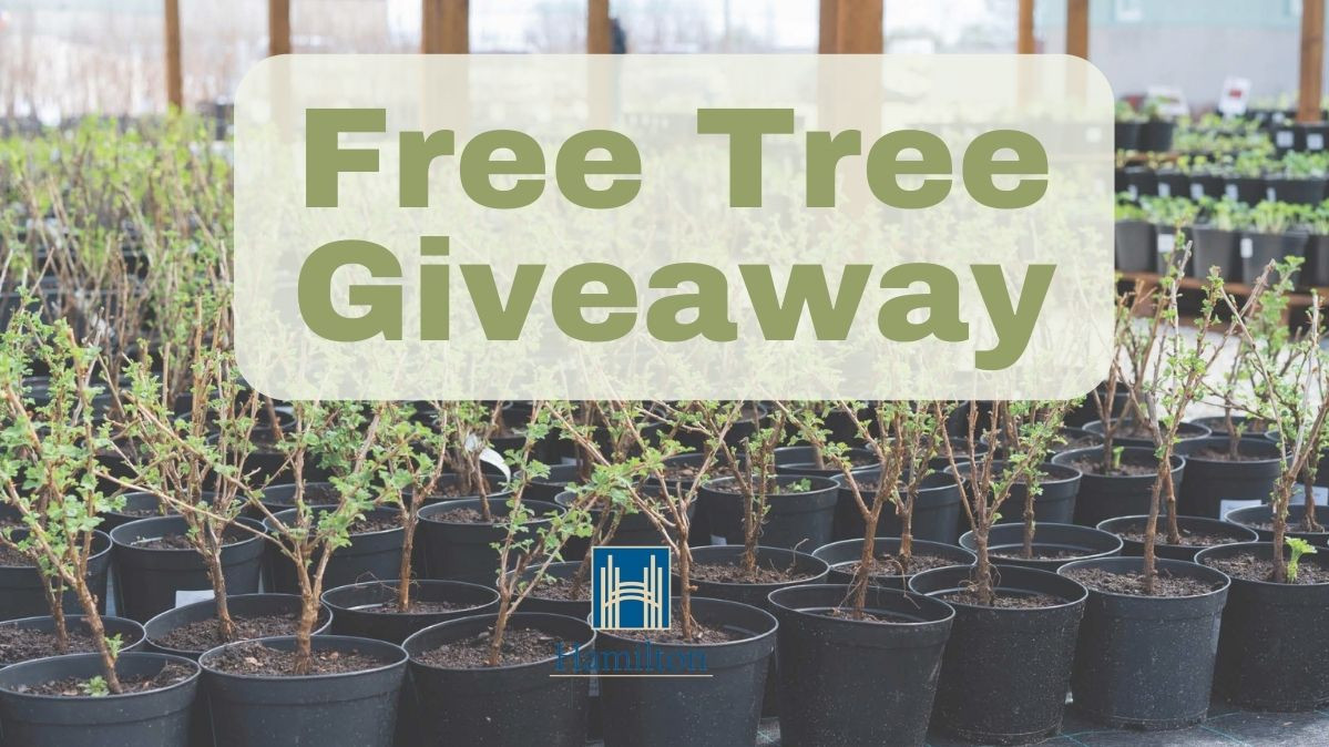 Index of /assets/img/promos